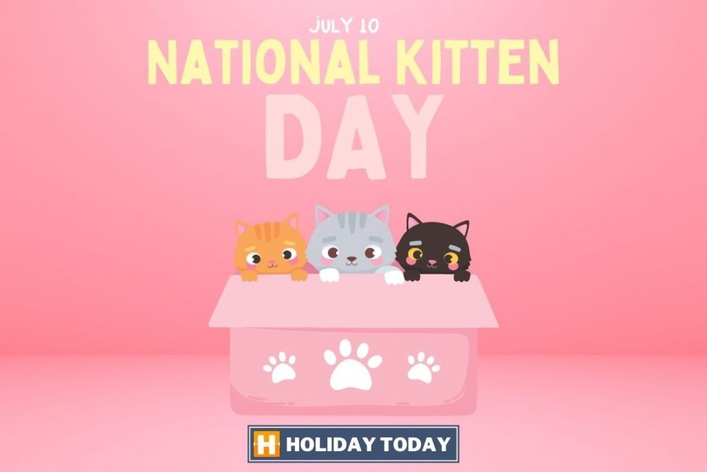 National Kitten Day - Holiday Today