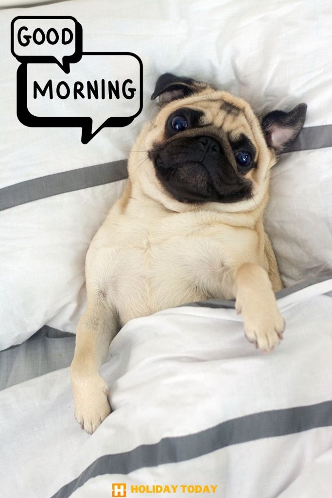 Good Morning Images - Holiday Today