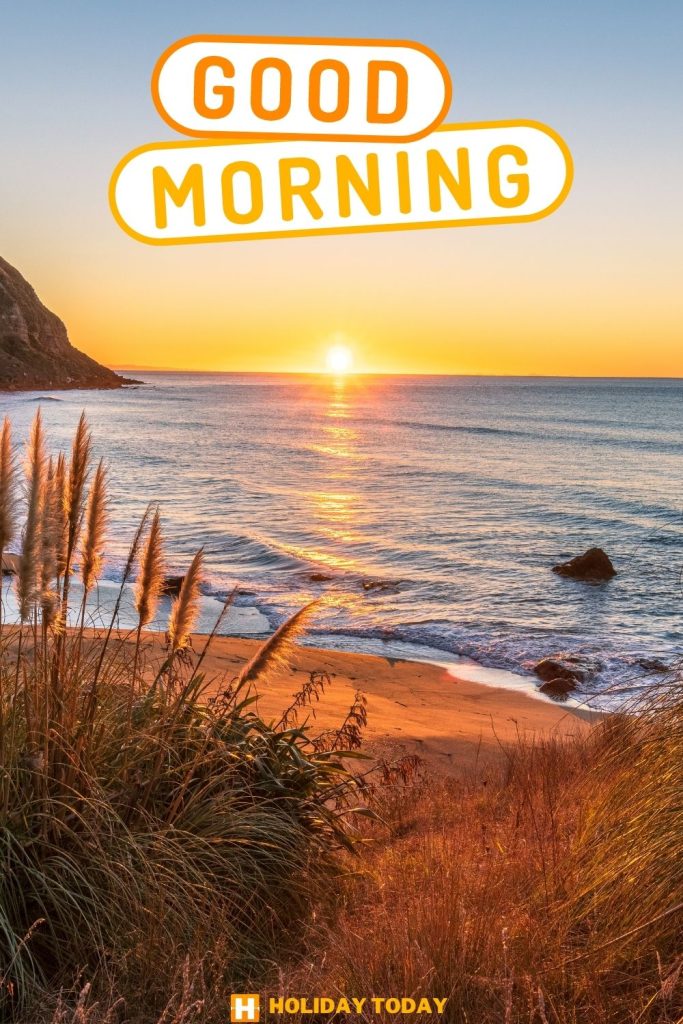 Good Morning Images - Holiday Today