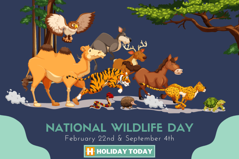 National Wildlife Day (February 22nd & September 4th, 2025)