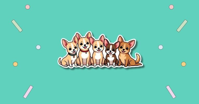 International Chihuahua Appreciation Day (May 14, 2026) - Holiday Today