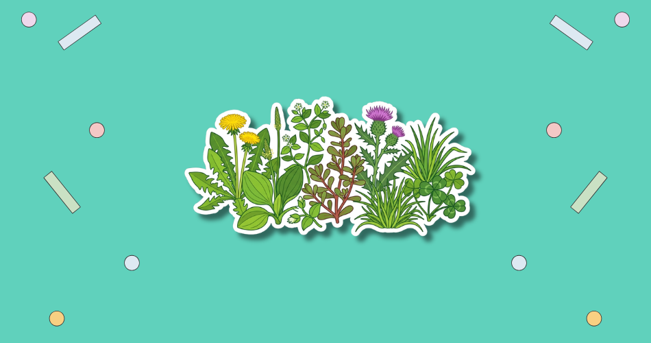 National Weed Appreciation Day (March 28, 2026)